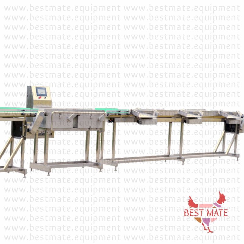 Automatic Poultry Grading Scale - Best Mate Equipment Supplier